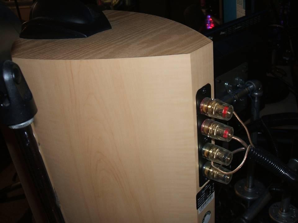 Radient Speakers Bi-Amped | Stereophile.com